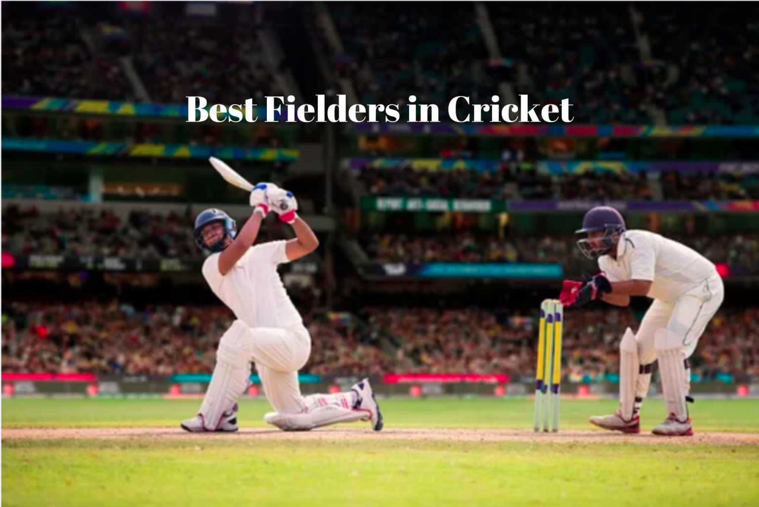 Cricket Fielding Positions Explained: How To Read A Fielding Setup